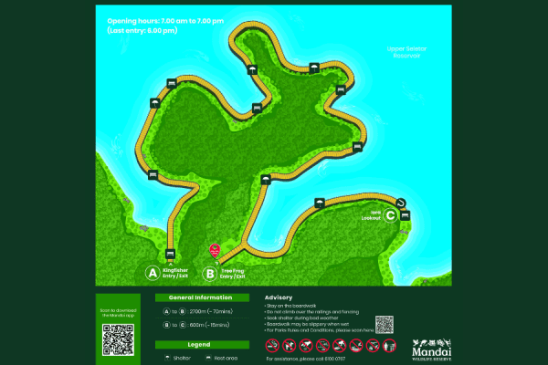 Explore the New Mandai Boardwalk with Stunning Views of Singapore Zoo ...
